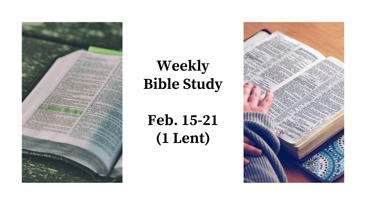Online Bible Study: Week of Feb. 15-21, 2021 | St. Paul Lutheran Church
